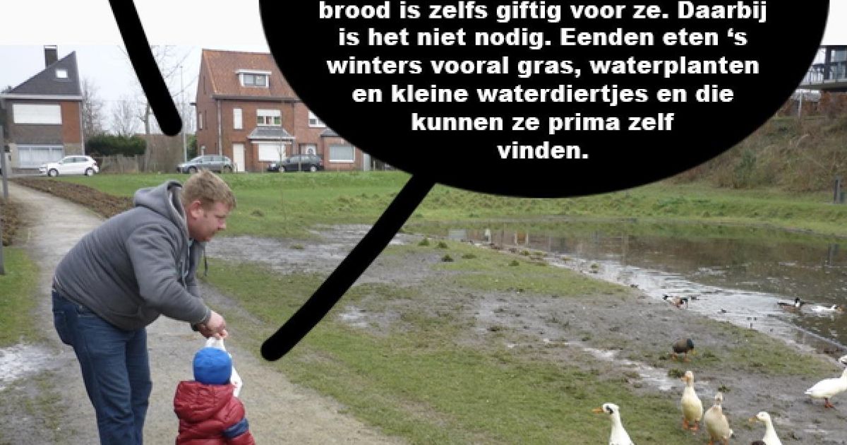 Brood geven | Kakhiel