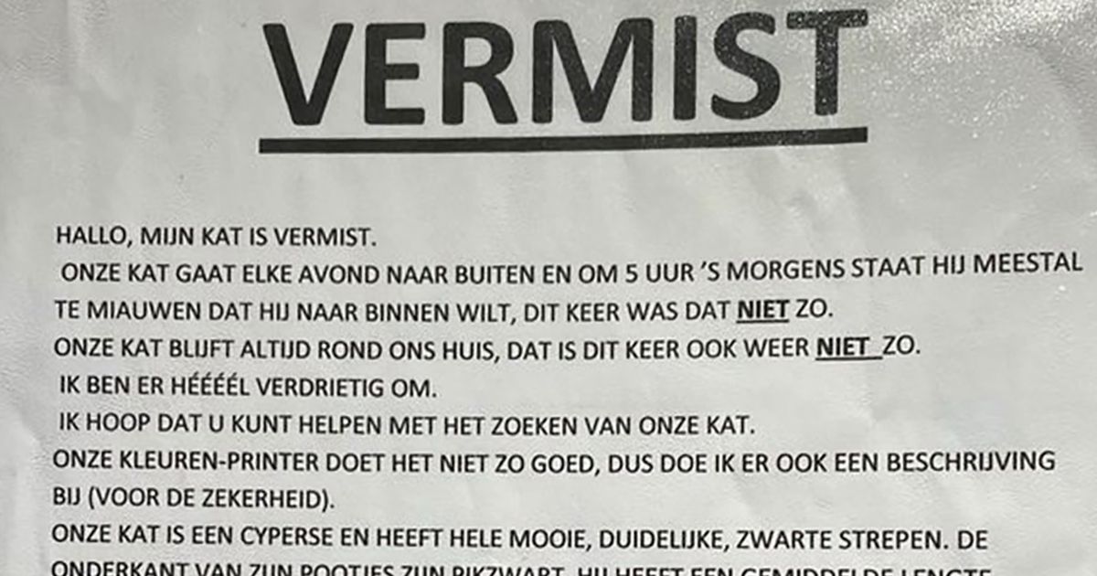 Hier een vermist-poster van een kind van 10 die haar kat kwijt is en ...