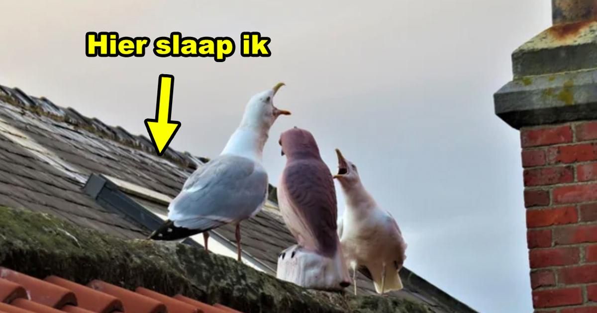 Er zijn betere manieren om je weekend te beginnen dan de mensen van ...