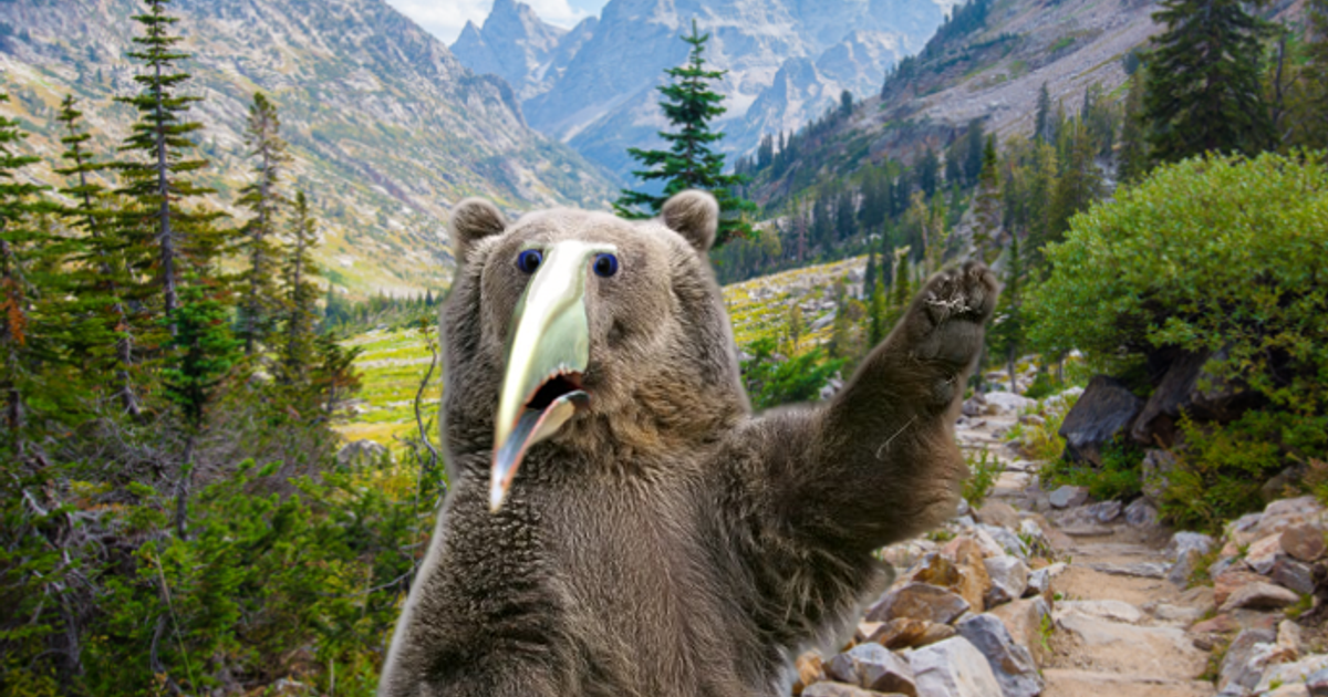 13 beren met een snavel | Kakhiel